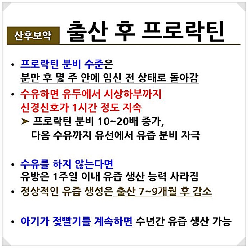 유즙분비호르몬프로락틴prolactin과 수유 네이버 블로그