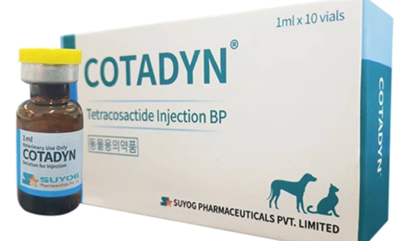 부신피질기능항진증의 호르몬 검사는? : 네이버 블로그