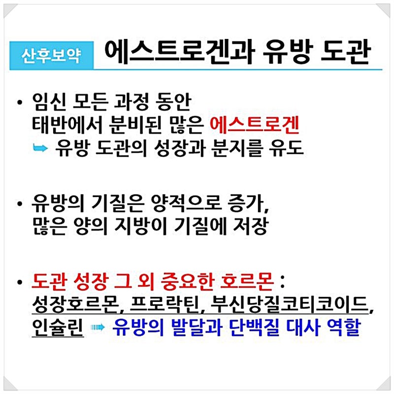 유즙분비호르몬프로락틴prolactin과 수유 네이버 블로그