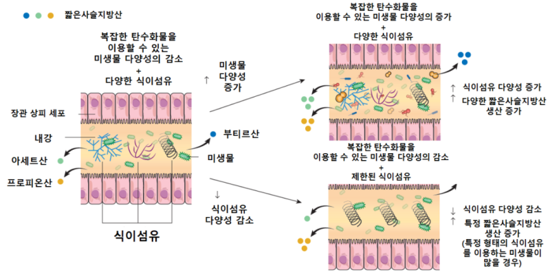 장내세균 유전체 분석 원리 및 장내환경 모니터링한국의과학연구원 마이크로바이옴센터 네이버 블로그