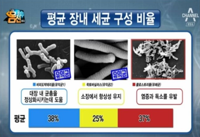 장내세균 유전체 분석 원리 및 장내환경 모니터링한국의과학연구원 마이크로바이옴센터 네이버 블로그