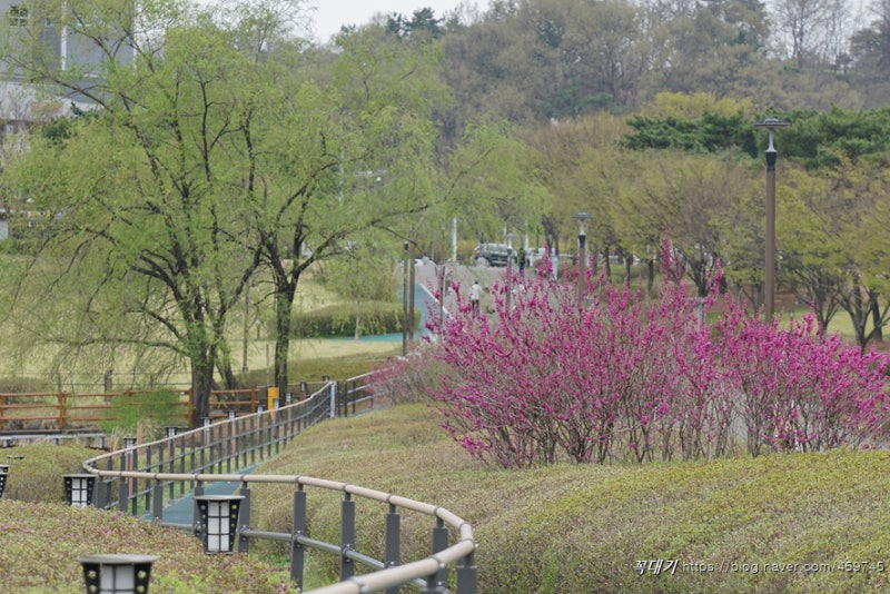 청주 오창호수공원 호암저수지 둘레길주차장 피크닉 나들이 명소 네이버 블로그