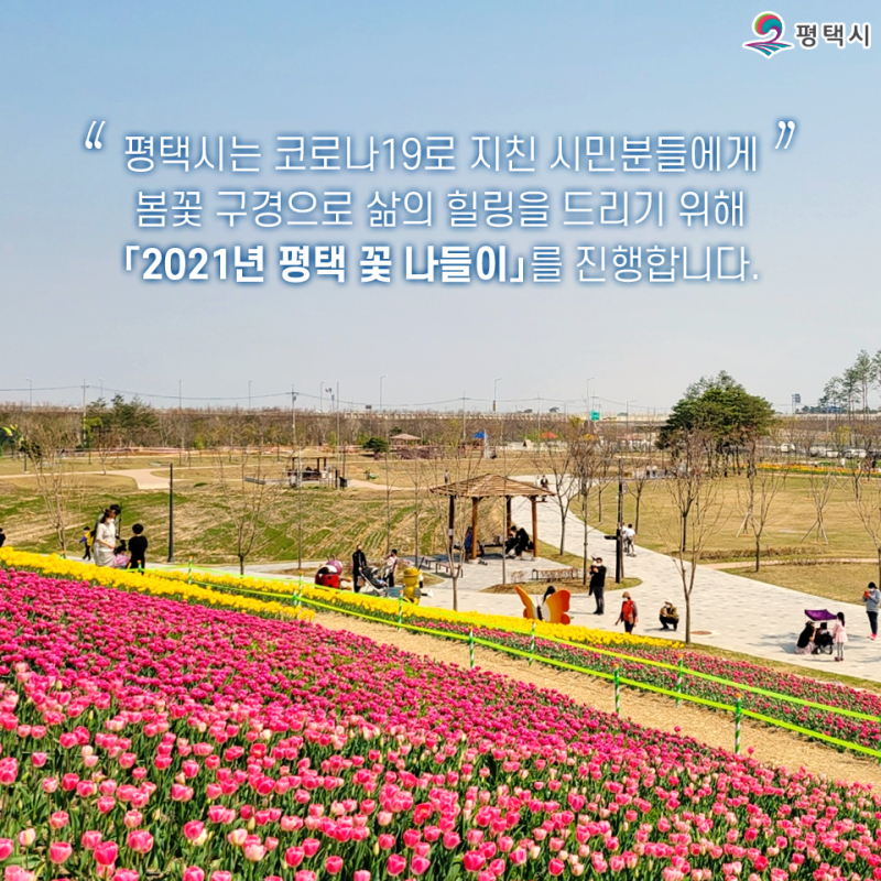 평택시 농업생태원 2021년 꽃 나들이 안내 네이버 블로그
