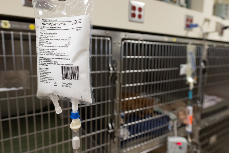 [리도카인/부작용] 독성 그리고 예방법 : 네이버 블로그