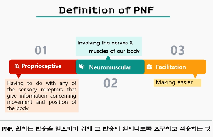 PNF 치료 개념 : 네이버 블로그