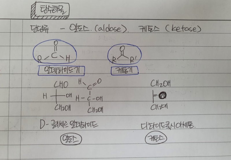 탄수화물 단당류 이당류 다당류 결합의 형태 네이버 블로그