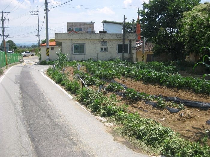 평택시 지제동 368 4 수익성 역세권 토지 경매 매매 급매 임야303평 계획관리지역 2차선도로접 현황은 전 주변개발지 지제역