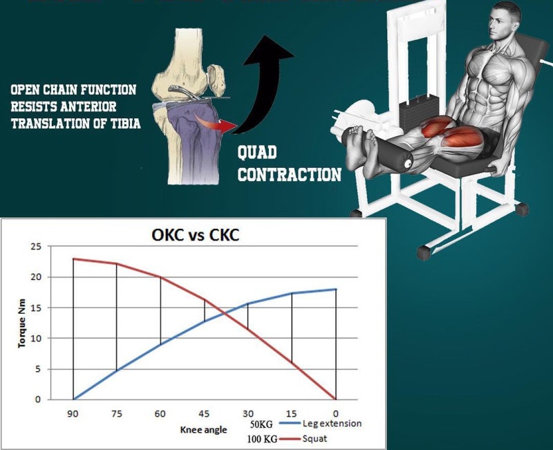 닫힌사슬(CKC; closed kinetic chain)운동 vs. 열린사슬(OKC; open kinetic chain)운동 ...