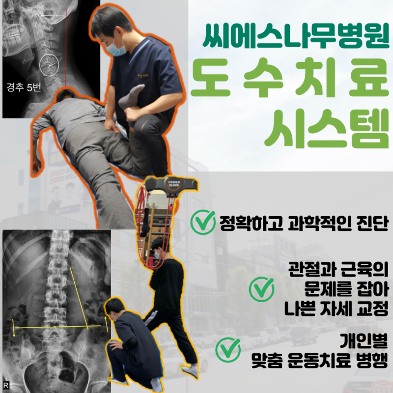 [여수 여천 씨에스나무병원] 여수 도수치료 맛 집 네이버 블로그