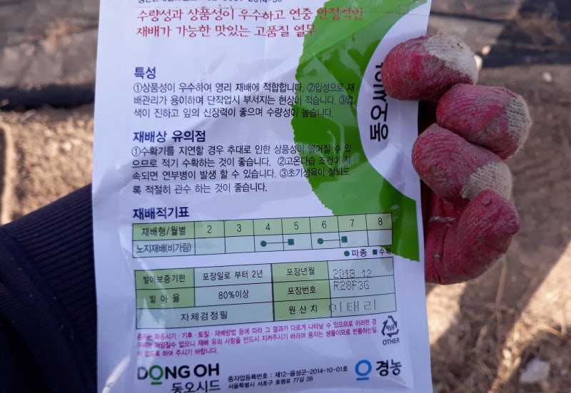 열무파종시기 열무심는법 열무씨앗 뿌리기 방법과 심는시기 맞춰 키우기 노하우 네이버 블로그