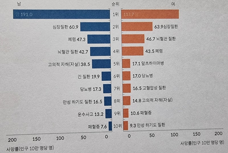보험약관 내용 제대로 파악하기 2대질환 진단금 뇌 심장질환 특약 허혈성심장질환진단특약 뇌혈관질환진단특약 Feat