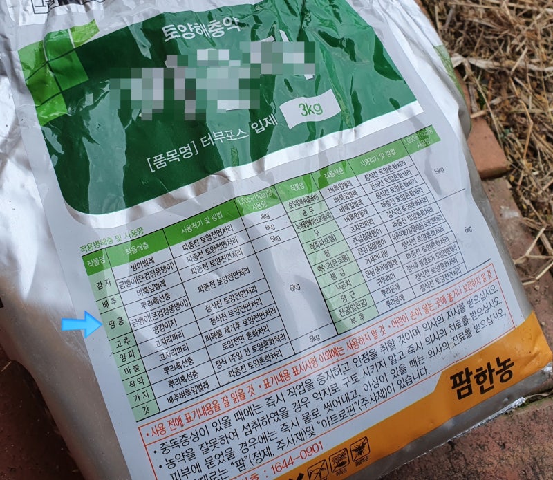 땅콩 모종 심는시기 Vs 땅콩 씨앗 파종시기 땅콩심기 심는법 간격 깊이 땅콩 키우기 방법 총정리 네이버 블로그