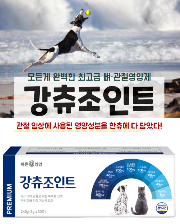강아지 관절영양제 강아지슬개골영양제 추천 Elosbio바른영양펫연구소 강츄 조인트 후기 네이버 블로그