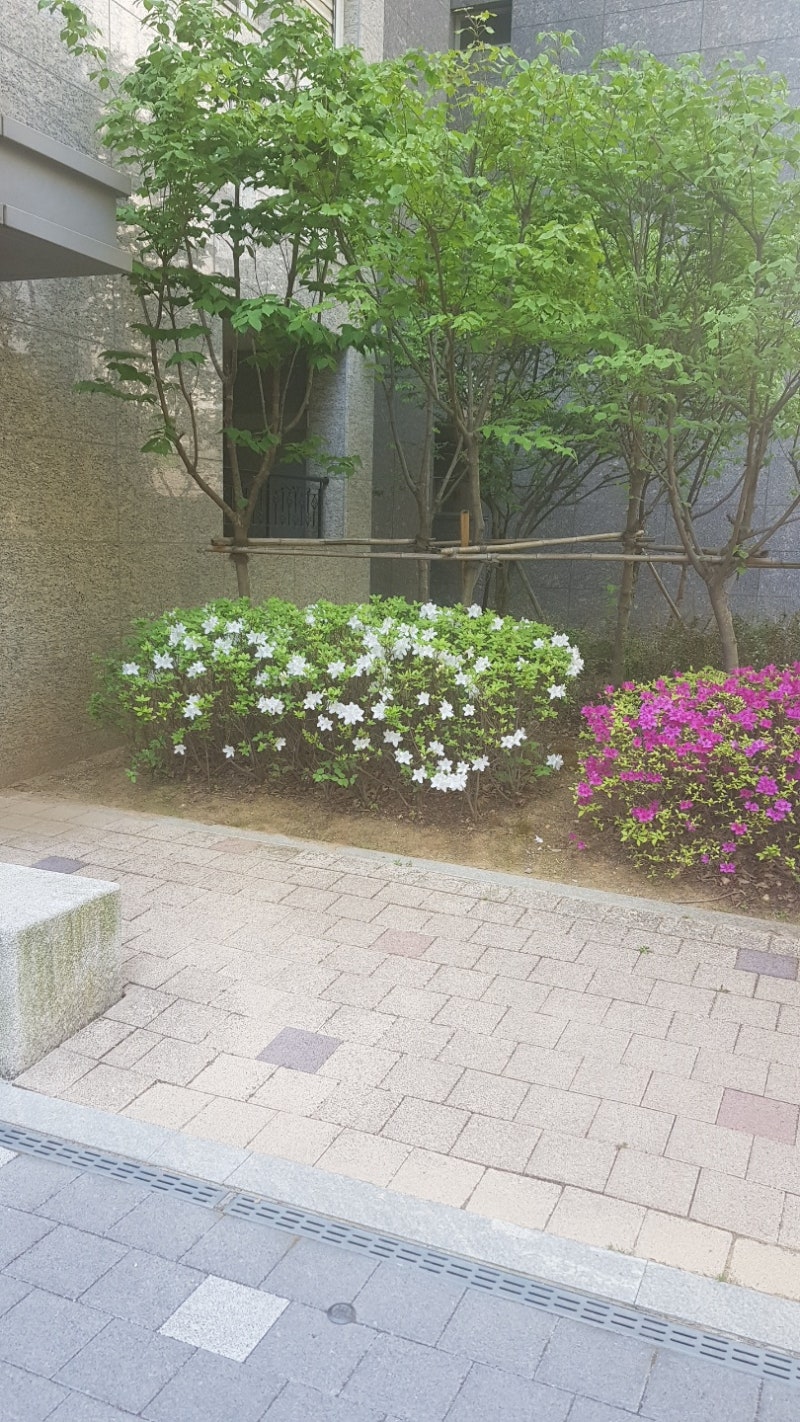구매대행 세무사와 함께 종합소득세 단순경비율 제도에 대해 알아 볼까요 네이버 블로그