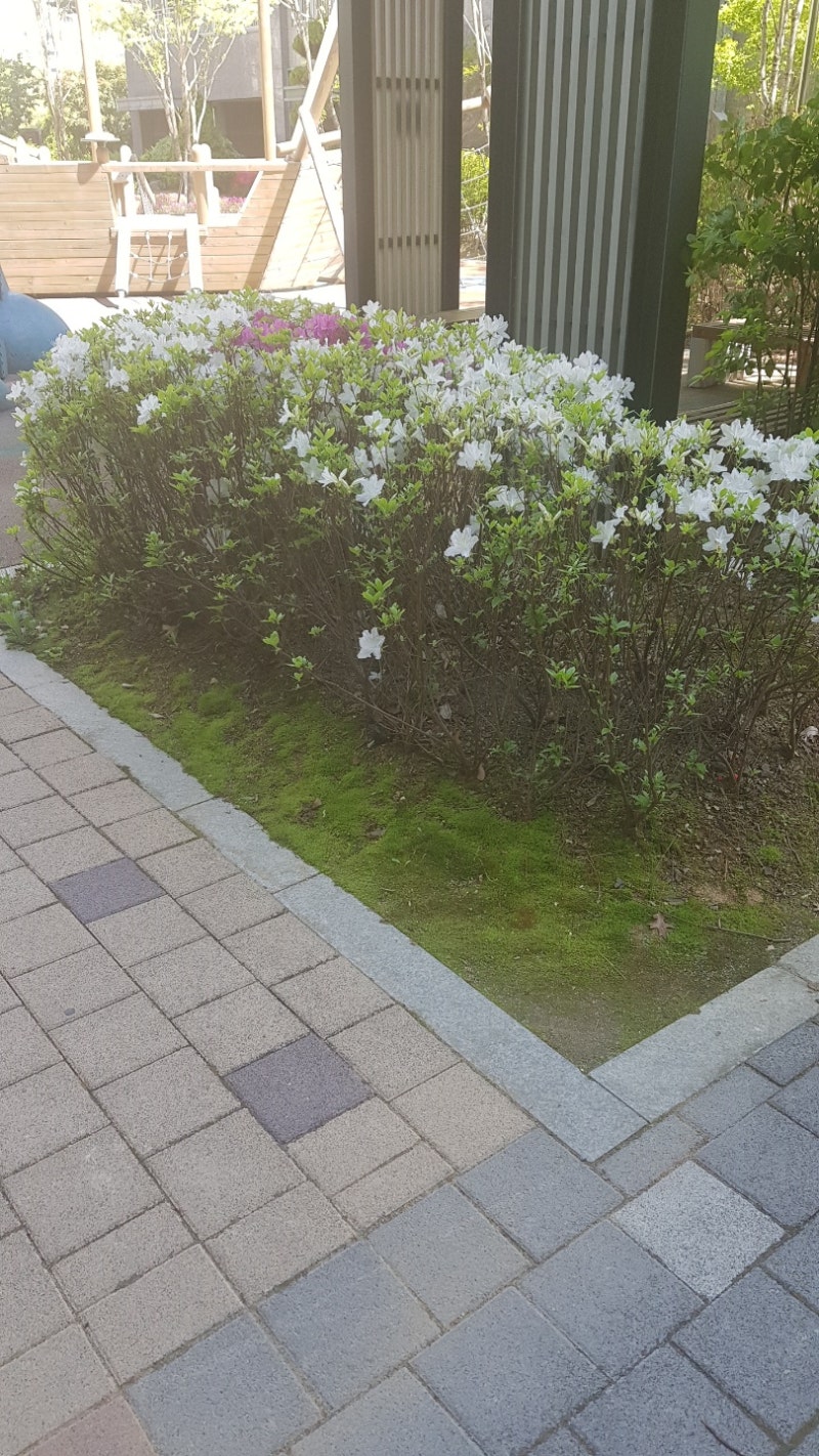 구매대행 세무사와 함께 종합소득세 단순경비율 제도에 대해 알아 볼까요 네이버 블로그