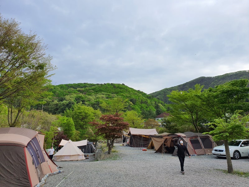 경기도 가평 계곡캠핑장 유명산and어비계곡을 제대로 느낄 수 있는 가평올래캠핑장 저의 애정 캠핑장입니다 네이버 블로그