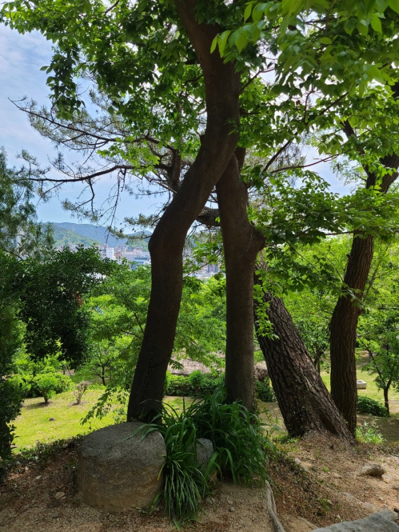 김해가볼만한곳 김해봉황대공원 황세장군과 여의낭자의 애틋한 사랑이야기를 품고 있는 봉황대 네이버 블로그