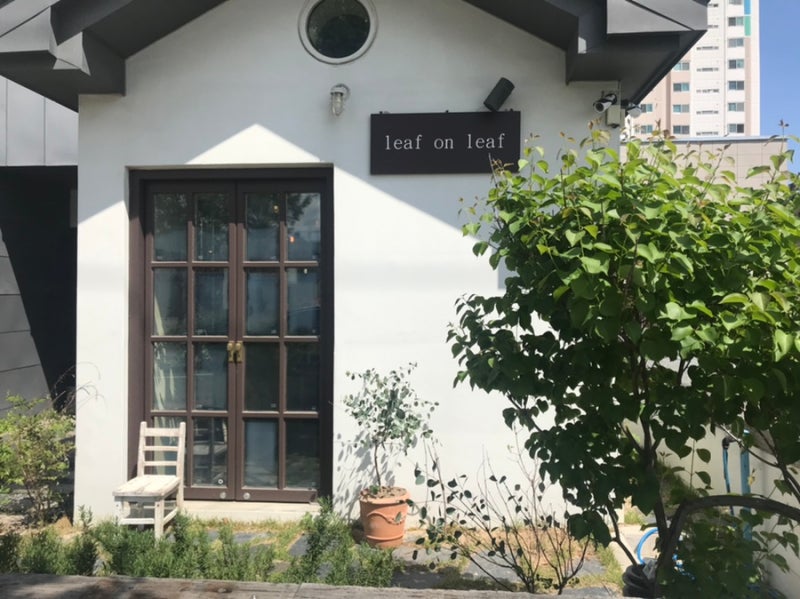 포항시 북구 장성동 식물 인테리어가 예쁜 꽃집 카페 리프온리프leaf On Leaf 네이버 블로그
