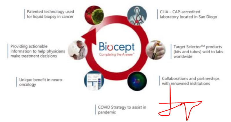 먼저 오를듯한 주식 BIOCEPT(BIOC) 단타용 장투용 : 네이버 블로그