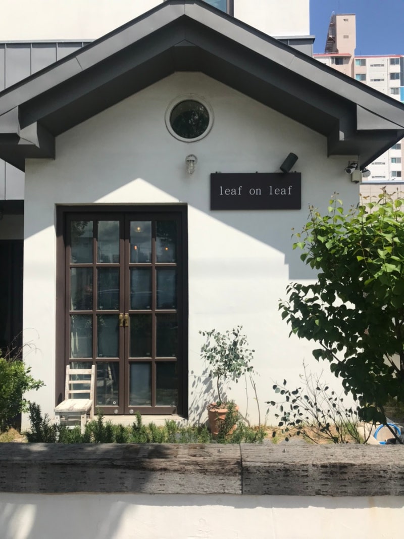 포항시 북구 장성동 식물 인테리어가 예쁜 꽃집 카페 리프온리프leaf On Leaf 네이버 블로그