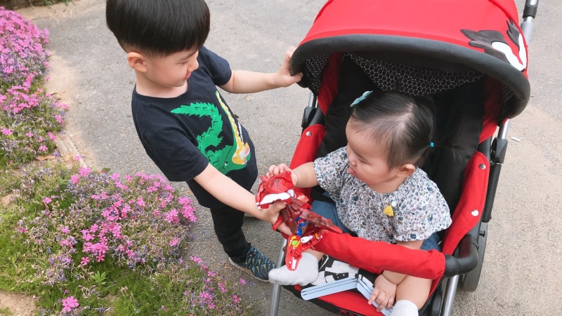 영아의 발달 영역별 특성 지각 신체 인지 언어사회정서 발달 네이버 블로그