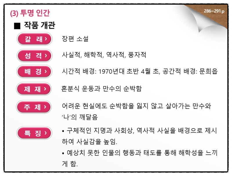 천재김 고등 문학 Ⅳ 1 투명 인간성석제☞문제와 설명 네이버 블로그