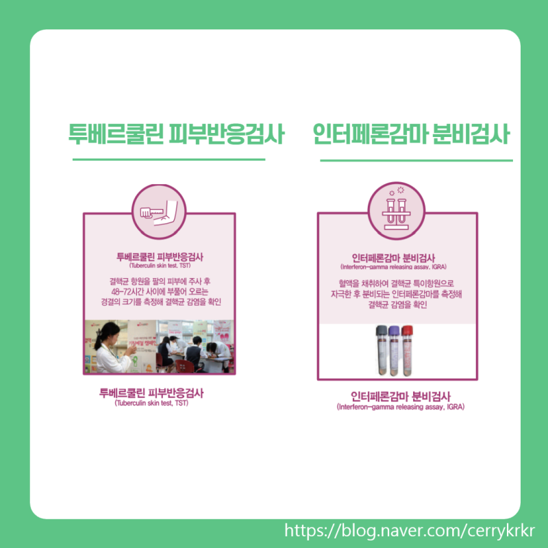 잠복결핵 검사비용 치료방법 확인서발급 병원 알아보기 네이버 블로그