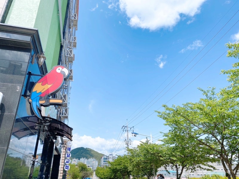 통영여행 아이랑 가기좋은 통영이색카페 리프패럿앵무새카페 네이버 블로그