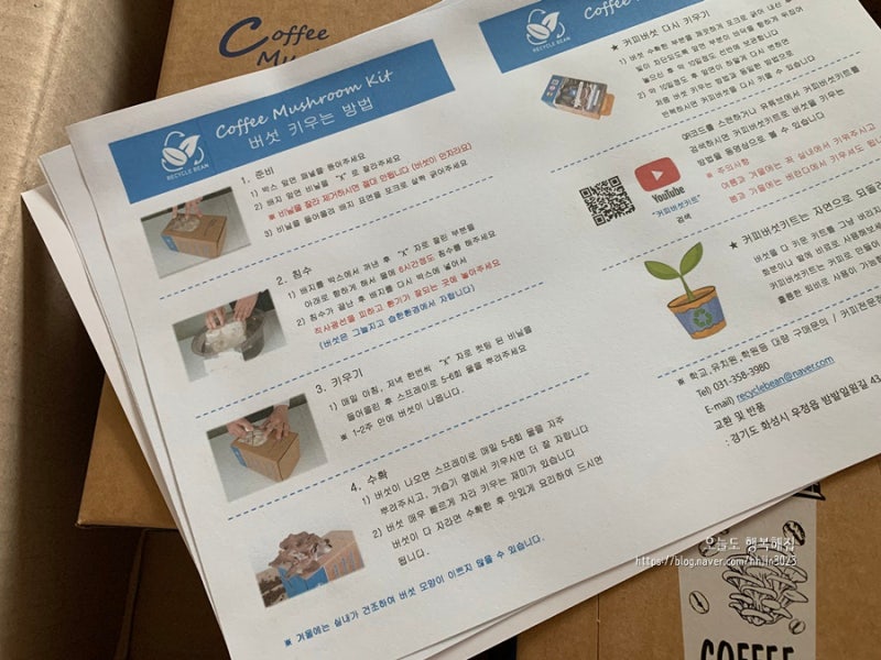 집에서 버섯키우기 재밌고 신기한 커피버섯키트 네이버 블로그