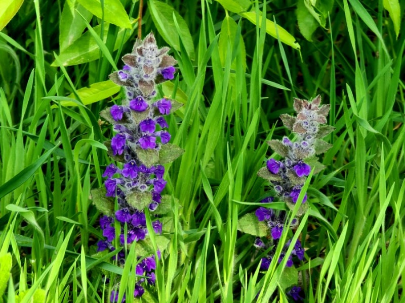 아빠와 아들 : 네이버 블로그