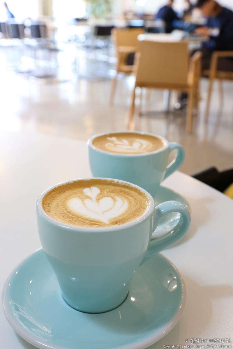 제주 노형동 카페 : 조용하고 쾌적한 곳 노론존, No Lone Zone : 네이버 블로그