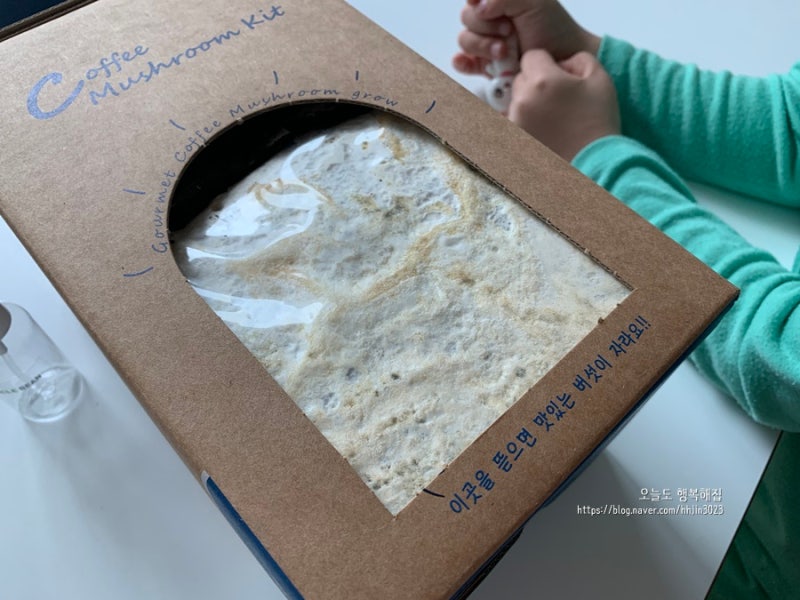 집에서 버섯키우기 재밌고 신기한 커피버섯키트 네이버 블로그