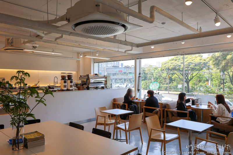 제주 노형동 카페 : 조용하고 쾌적한 곳 노론존, No Lone Zone : 네이버 블로그