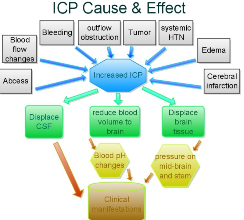 [성인간호학] 신경계 - 두개내압상승 ICP상승 IICP : 네이버 블로그