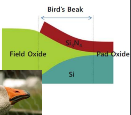 반도체 공정 : Device isolation. LOCOS, STI : 네이버 블로그