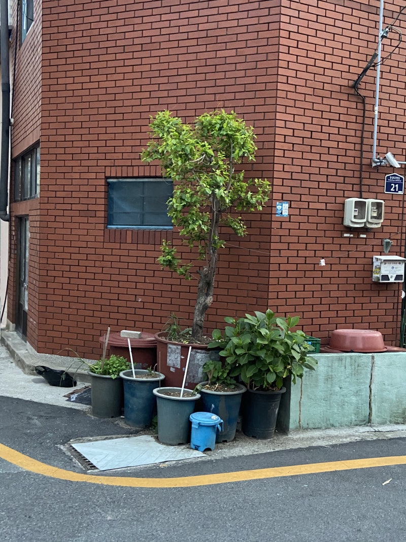 서면술집 전포칵테일 헤이주드 Hey Jude 분위기좋은곳 네이버 블로그