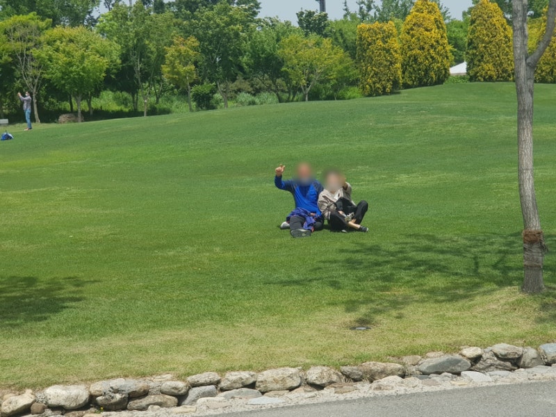 순천만국가정원 동문 주차장 휠체어 유모차 대여가능 네이버 블로그