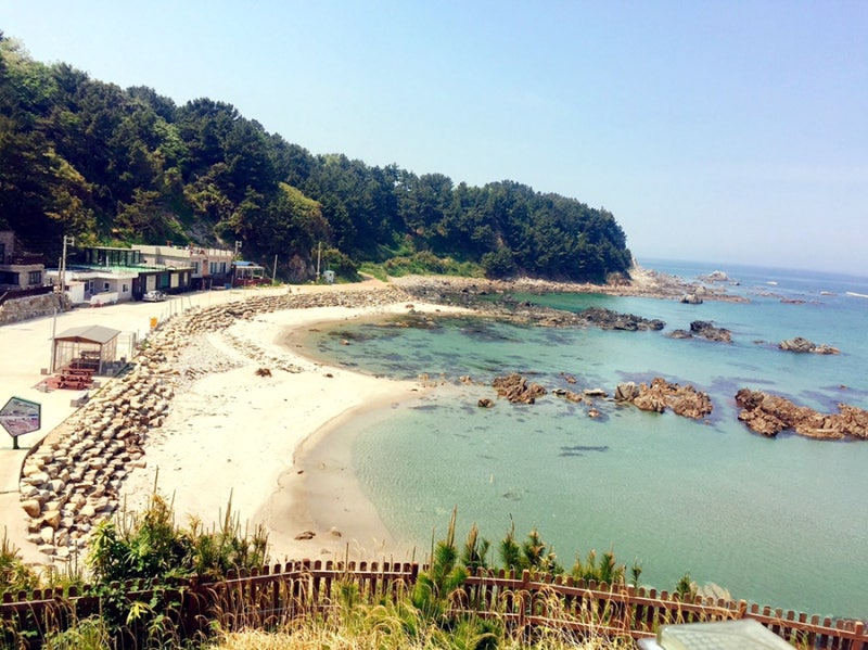 경북영덕울진여행1 울진가볼만한곳 제일반점 하트해변폭풍속으로세트장 르카페말리 성류굴 등기산스카이워크 후포근린