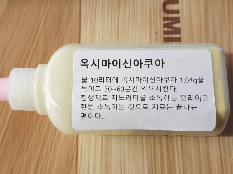 구피 꼬리녹음병 치료 《옥시마이신》 OXYMYCIN AQUA(물고기 상비약 / 항생제) : 네이버 블로그