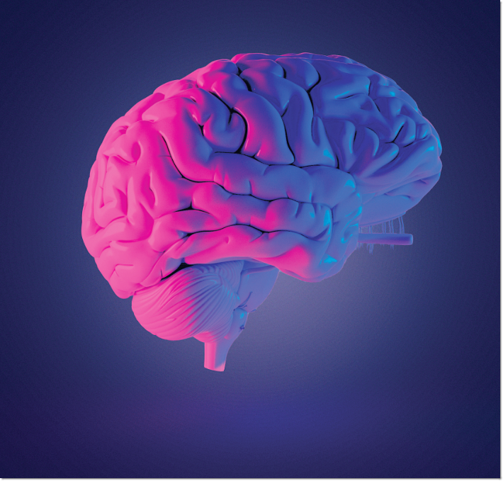 상세불명의 뇌경색증 I63.9 진단비 지급 주의사항! : 네이버 블로그