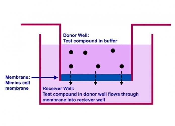 PAMPA(Parallel-Artificial Membrane Permeability Assay) : 네이버 블로그
