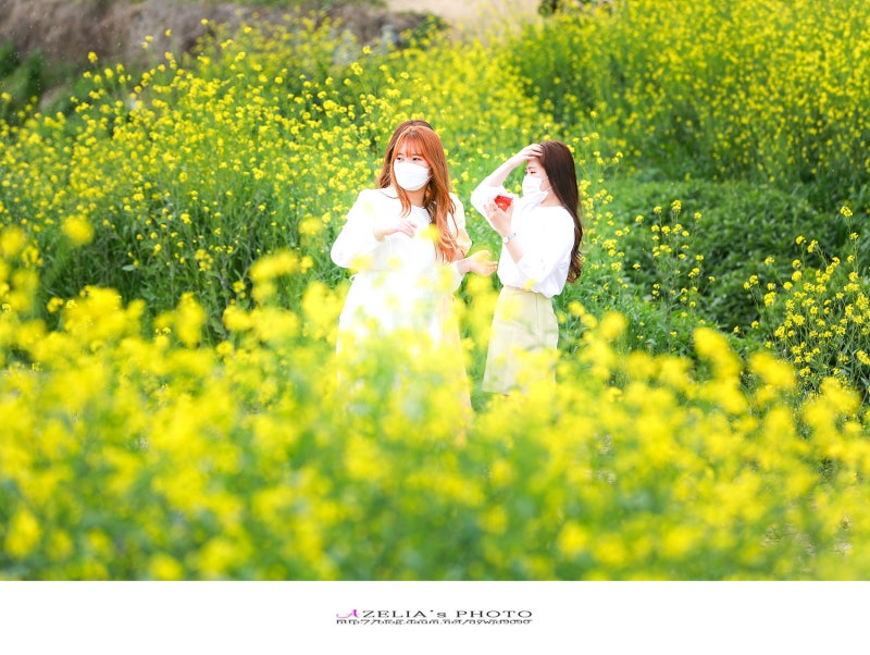 경북 경주 여행코스 금장대 산책로 나룻배 포토존 【21년4월27일】 네이버 블로그