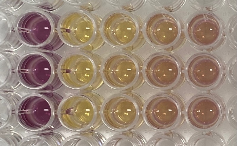 * 활성산소(ROS)와 DPPH assay(항산화 활성 실험)방법에 대해서 : 네이버 블로그
