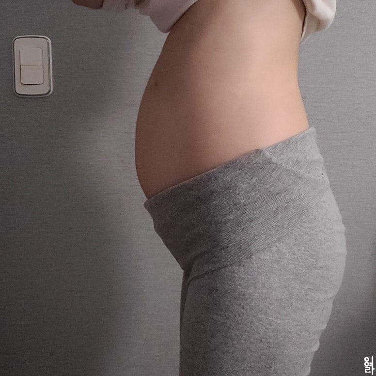 임신 주수별 배크기 2 19주 20주 21주 임신 5개월~6개월차 증상 눈으로 태동 확인 가능한 시기 네이버 블로그