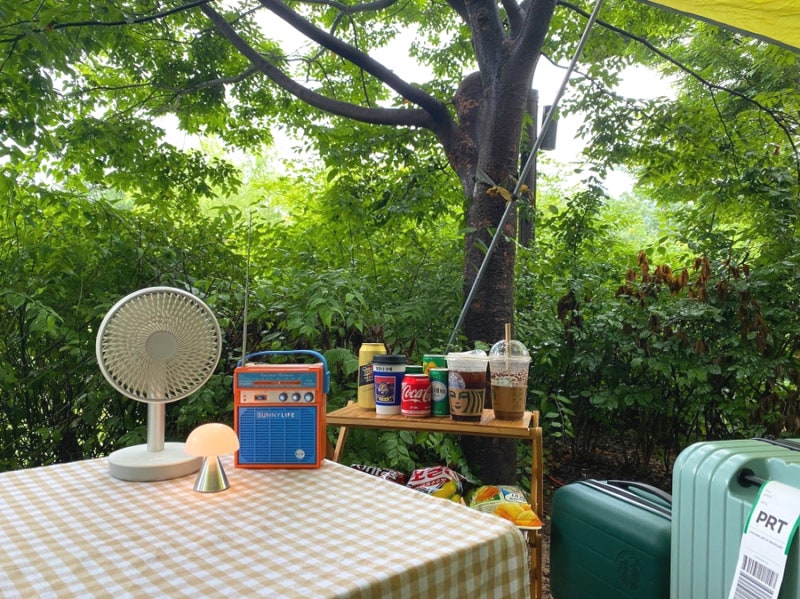서울 도심 캠핑 중랑 캠핑숲 예약 And 이용후기 네이버 블로그