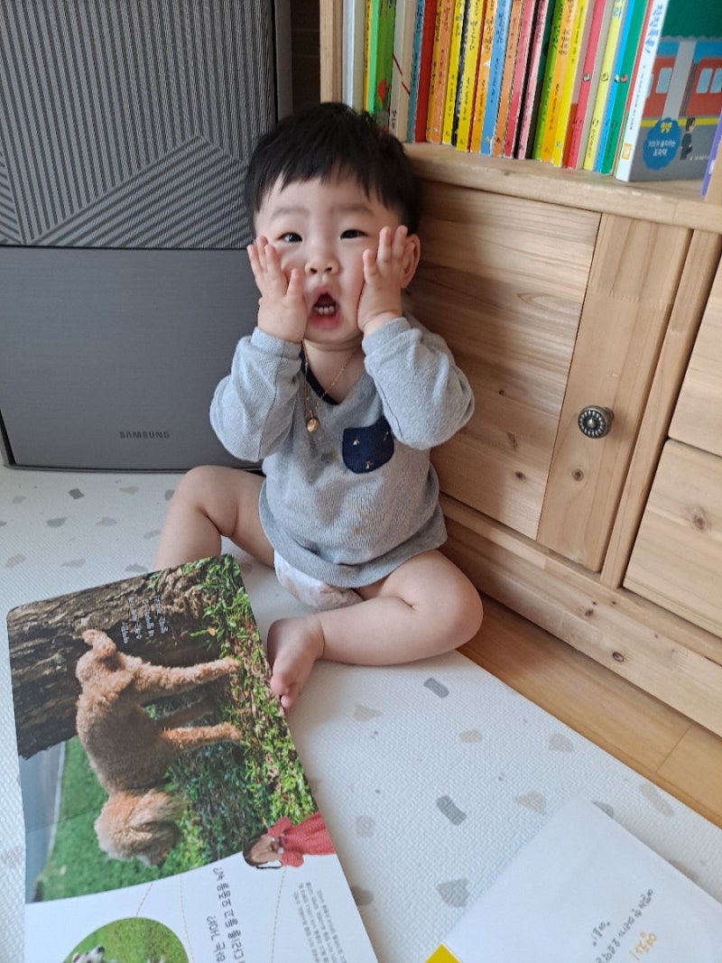 자연관찰 전집 비교 아람 우리 자연이랑 Vs 그레이트북스 놀라운자연 호랑이 사과 고양이 개 세이펜 활용