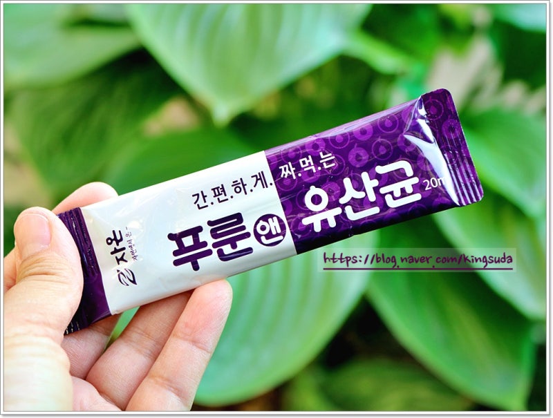 변비에 좋은 음식 자온 푸룬유산균 먹기 편해요 네이버 블로그