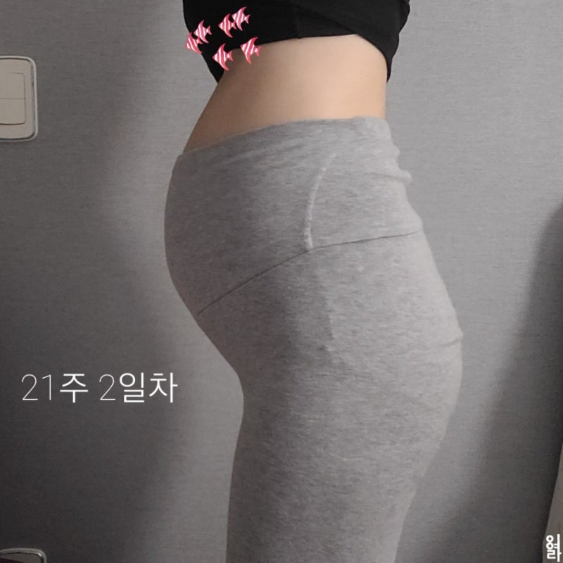 임신 주수별 배크기 2 19주 20주 21주 임신 5개월~6개월차 증상 눈으로 태동 확인 가능한 시기 네이버 블로그