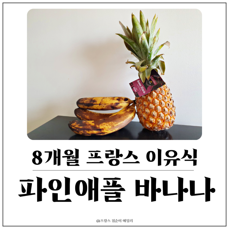 8개월 아기 프랑스 이유식 파인애플 바나나 콩포트 만들기 열대 과일 시작 시기 네이버 블로그