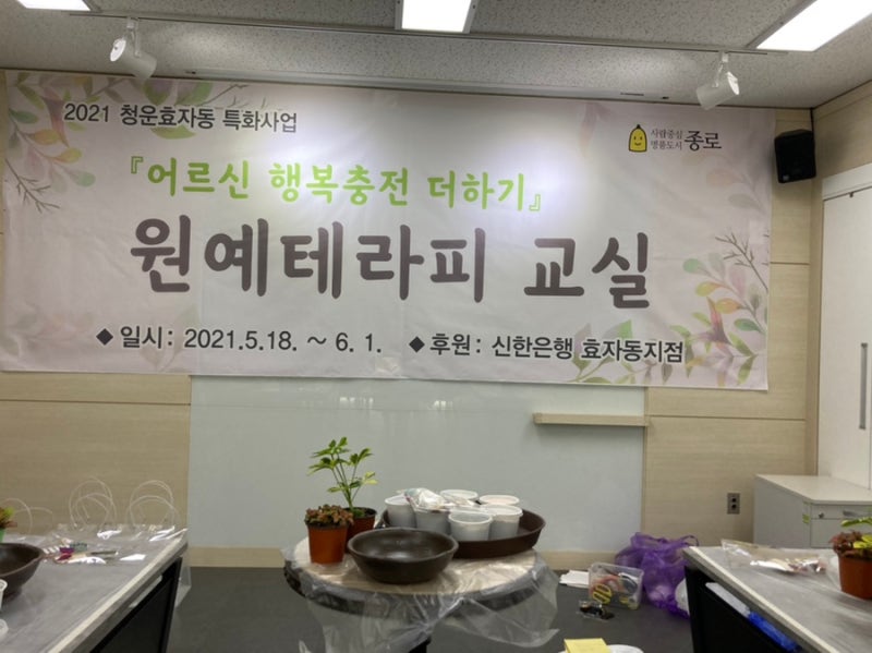 노인복지회관 원예테라피 디시가든 심어보기 어르신 행복충전 더하기 노인원예치료효과 네이버 블로그
